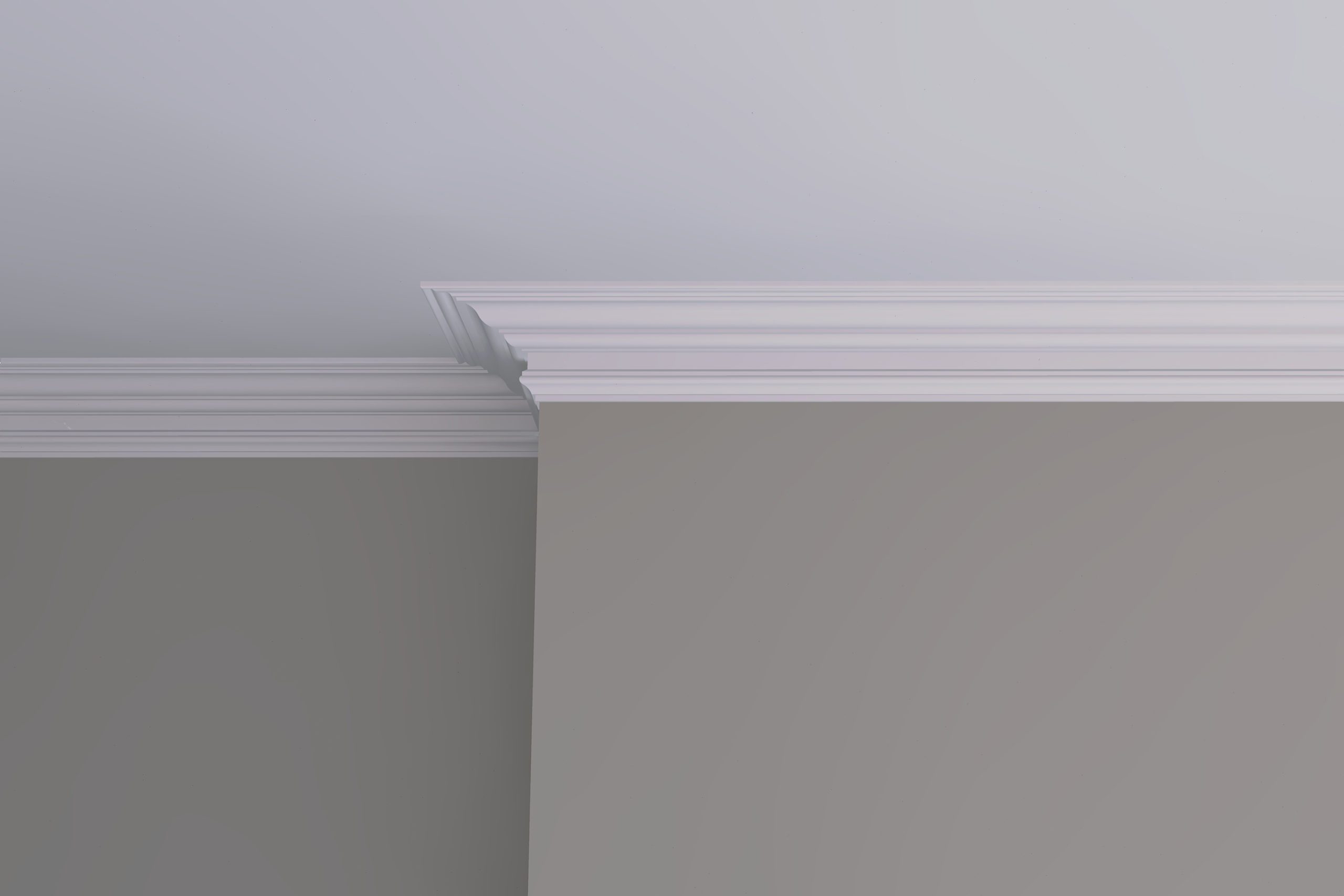 Georgian Style Coving | C81 | Victorian Cornice Company